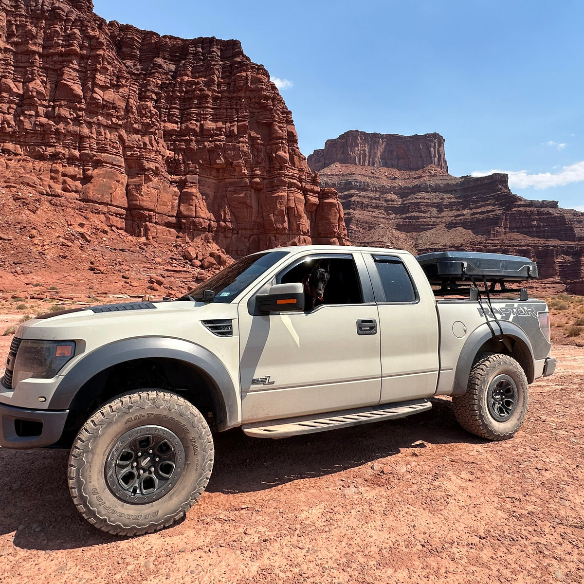 BillieBars Ford F-150 (2015-Present) | BillieBars